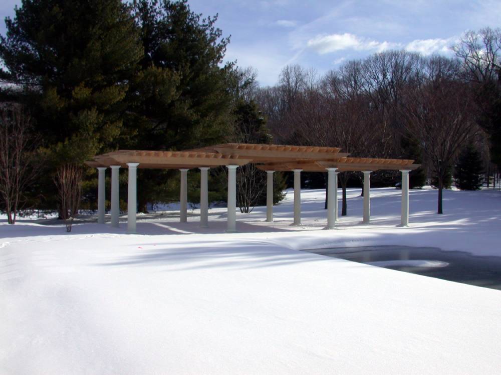 Blume snow | Trellis Structures