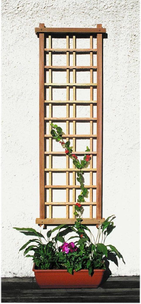 Craftsman Trellis | Trellis Structures
