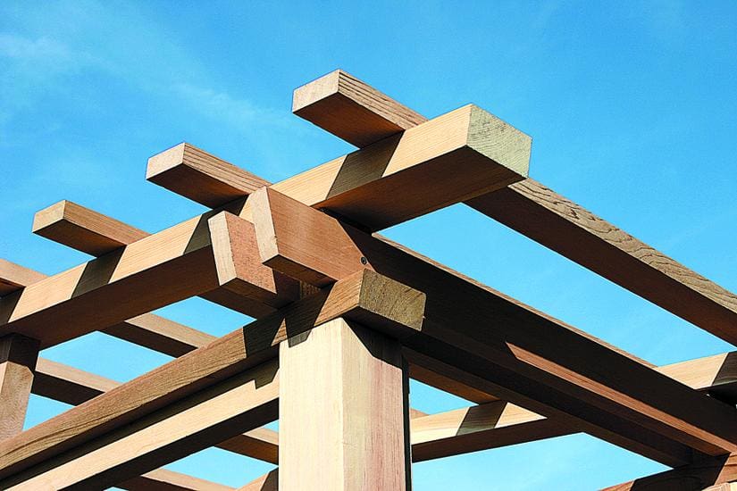 St.LouisDetail.RS07 | Trellis Structures