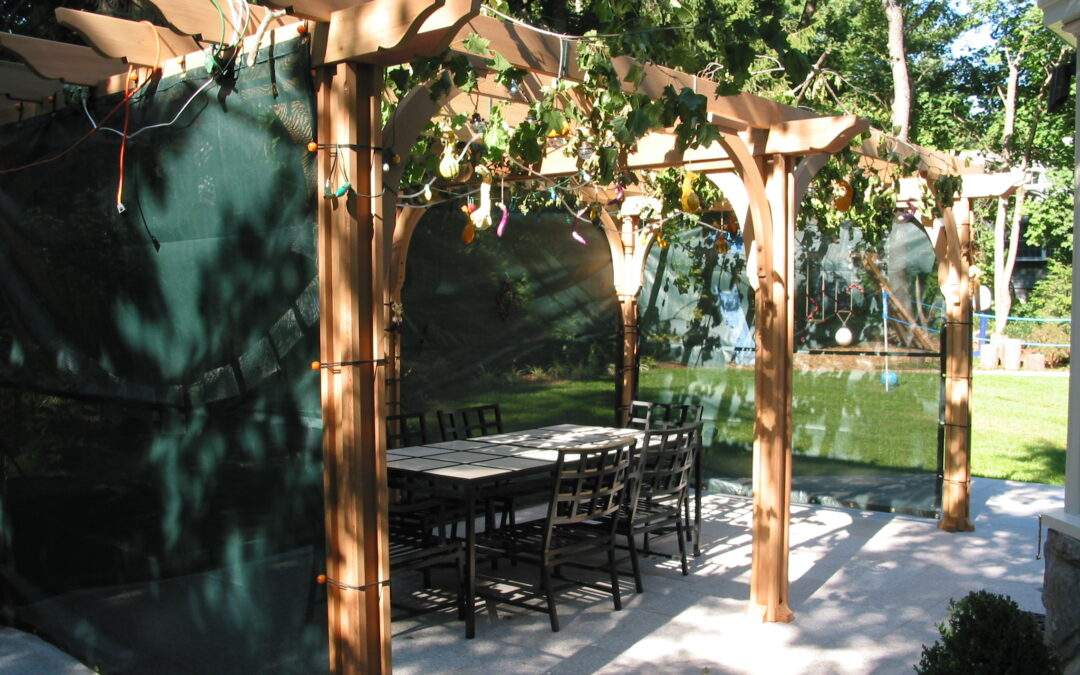 Sukkah | Trellis Structures
