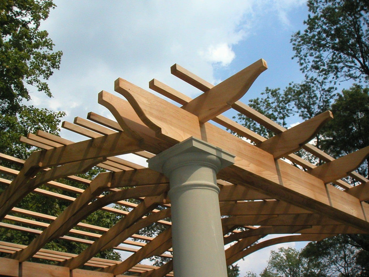 MINOLTA DIGITAL CAMERA | Trellis Structures