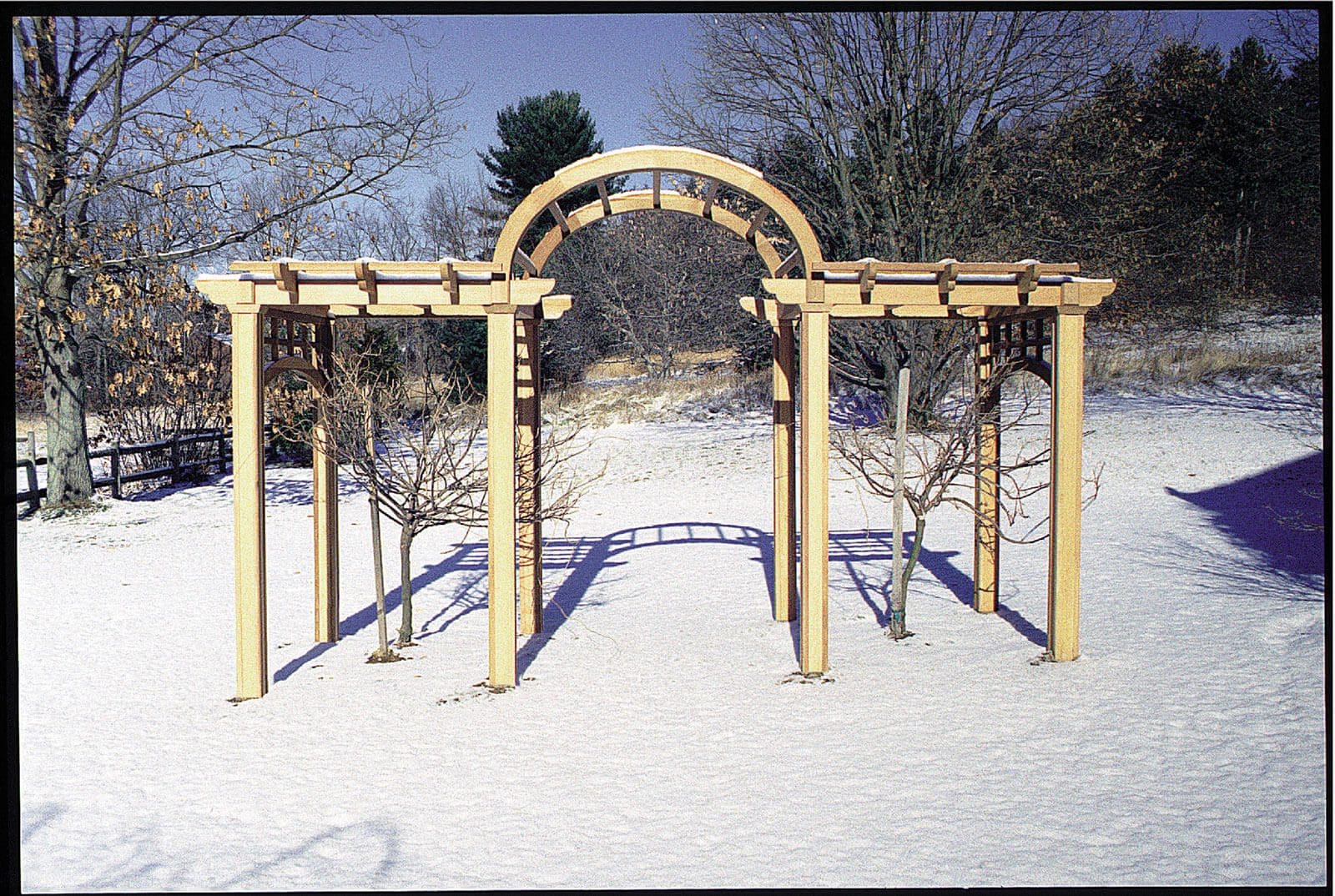 Anas-IN | Trellis Structures