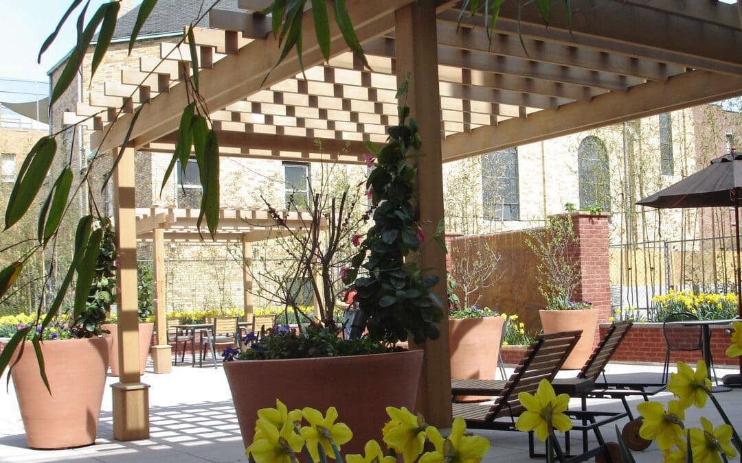 Rooftop Pergolas | Trellis Structures