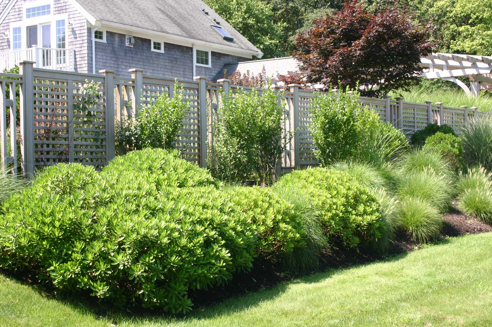 Gladding Jul ’13 046 | Trellis Structures