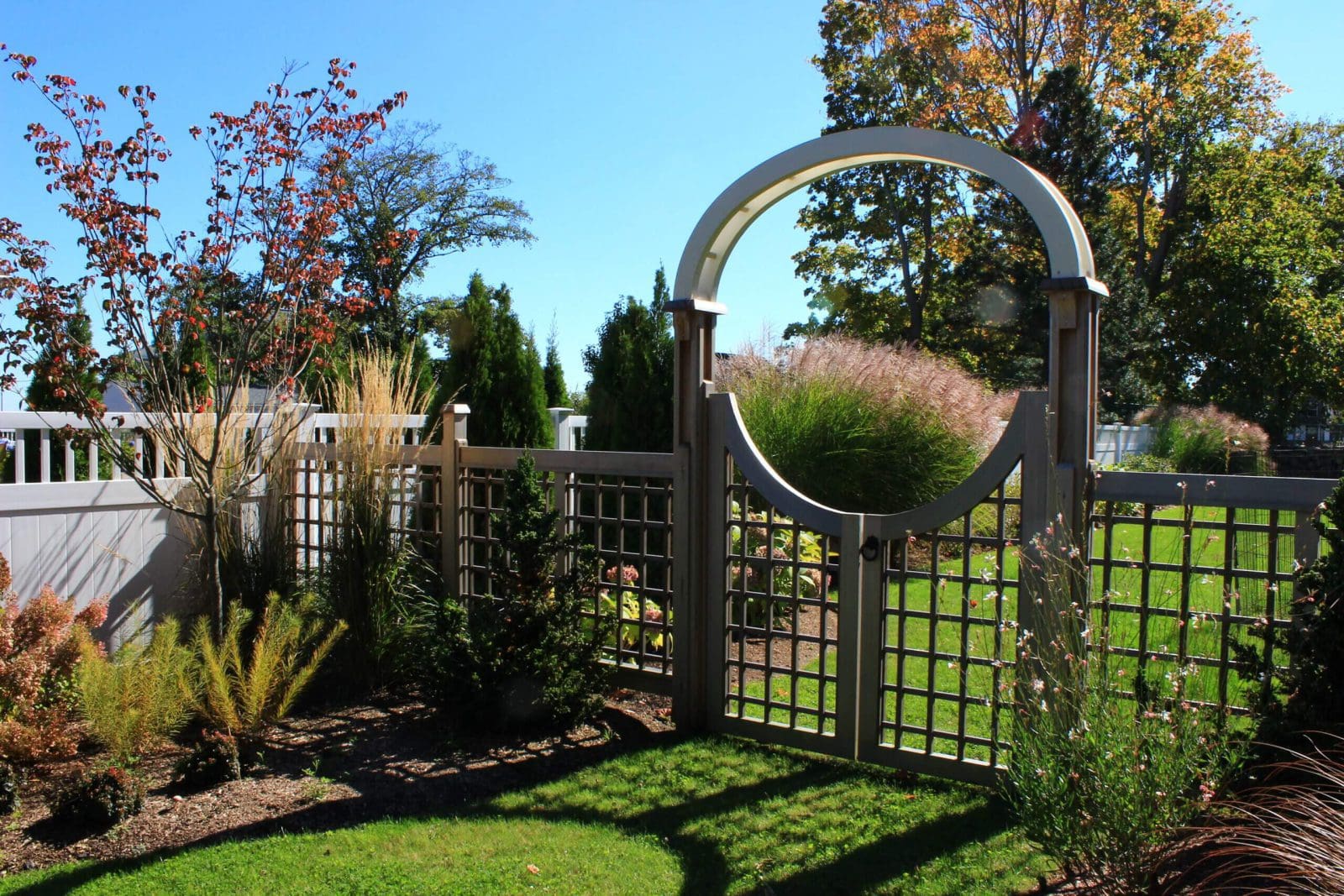 IMG_1382 | Trellis Structures