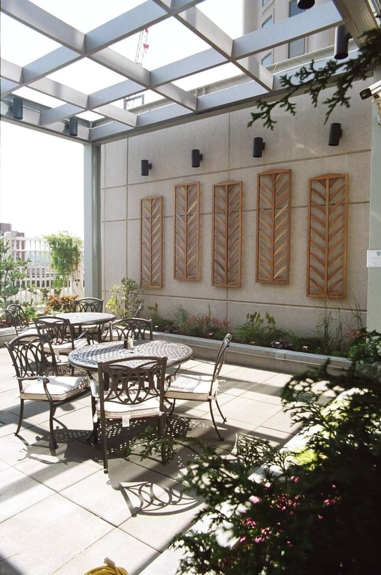 Palmate setup | Trellis Structures