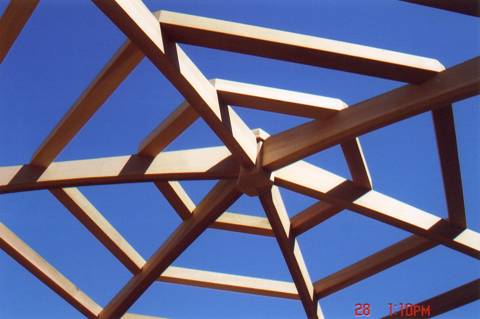 Pellitier 07 | Trellis Structures