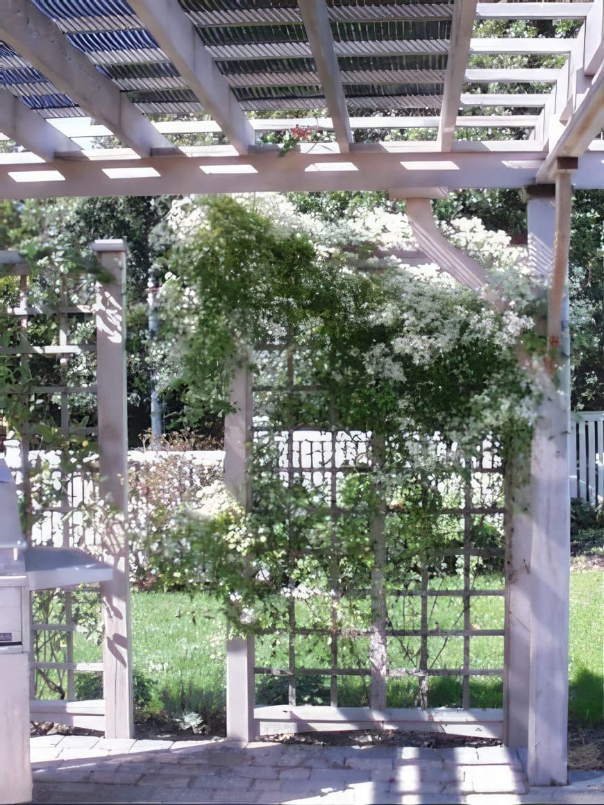 Zimmerman9 | Trellis Structures