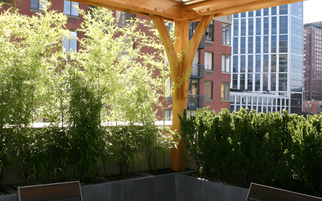 Rooftop Pergolas | Trellis Structures