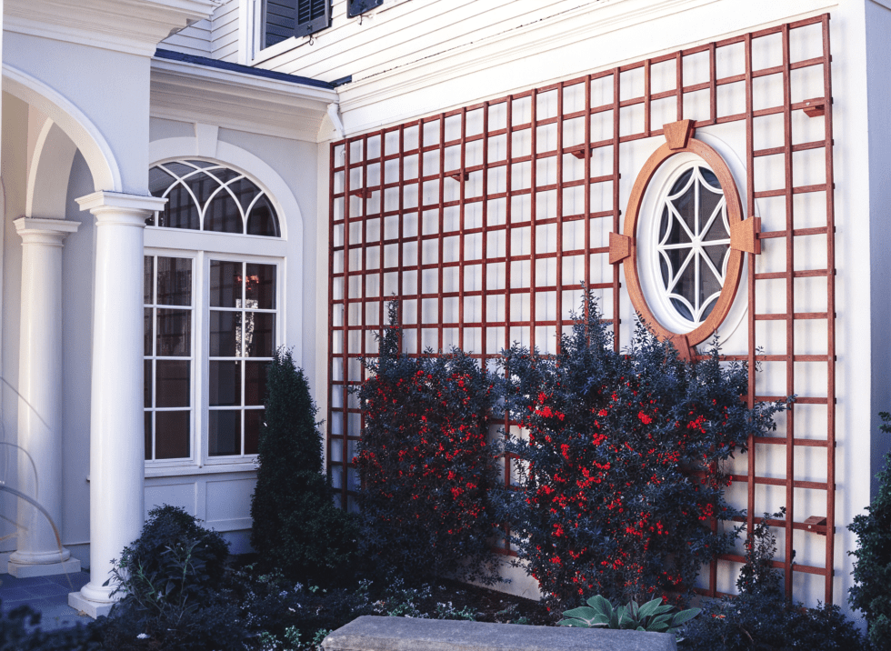 Trelliswork Accents a Wall No. CT2 | Trellis Structures